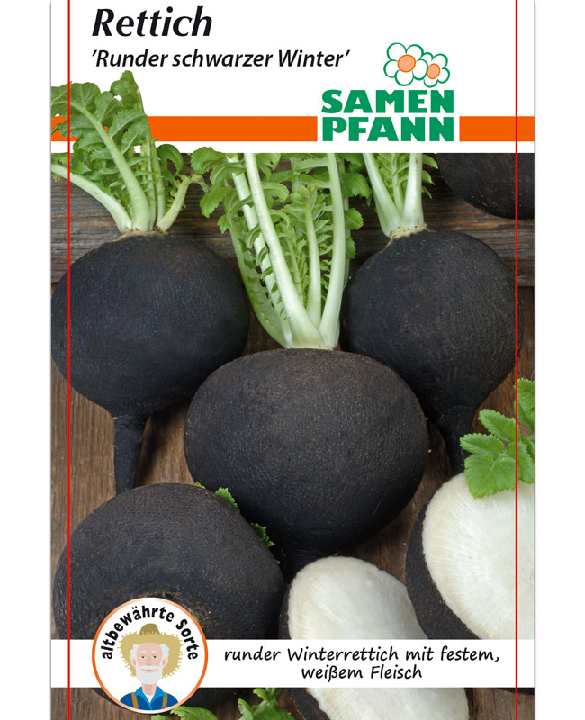 Rettich 'Runder schwarzer Winter'