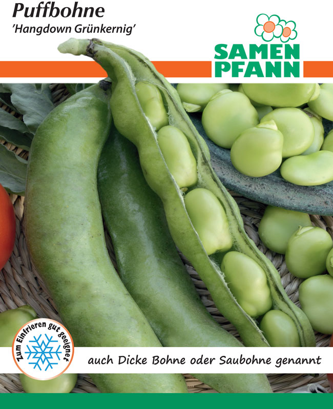 Puffbohne 'Hangdown Grünkernig'